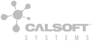About Us | Calsoft Systems | Microsoft Gold Partner