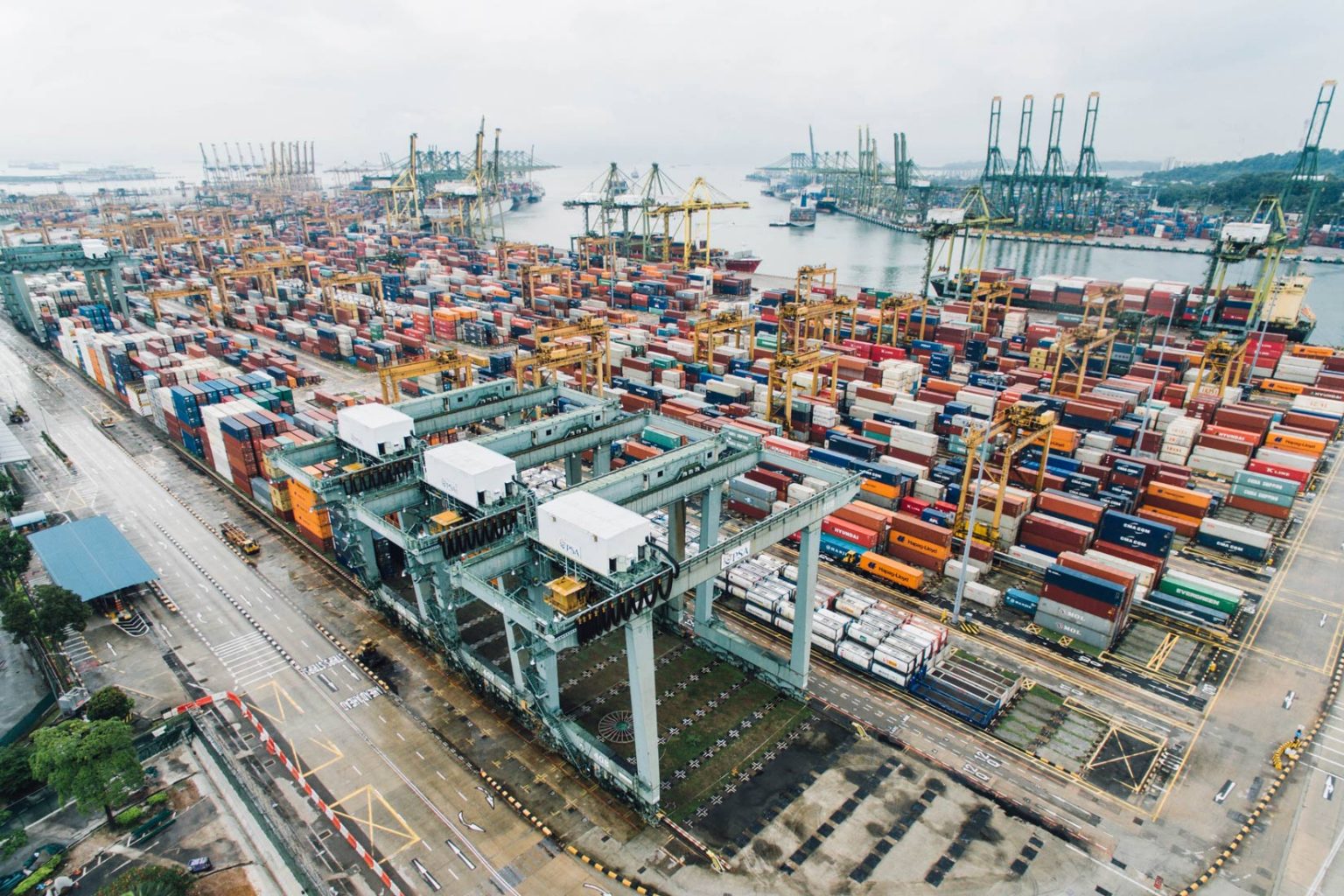 CargoWise EDI Integration